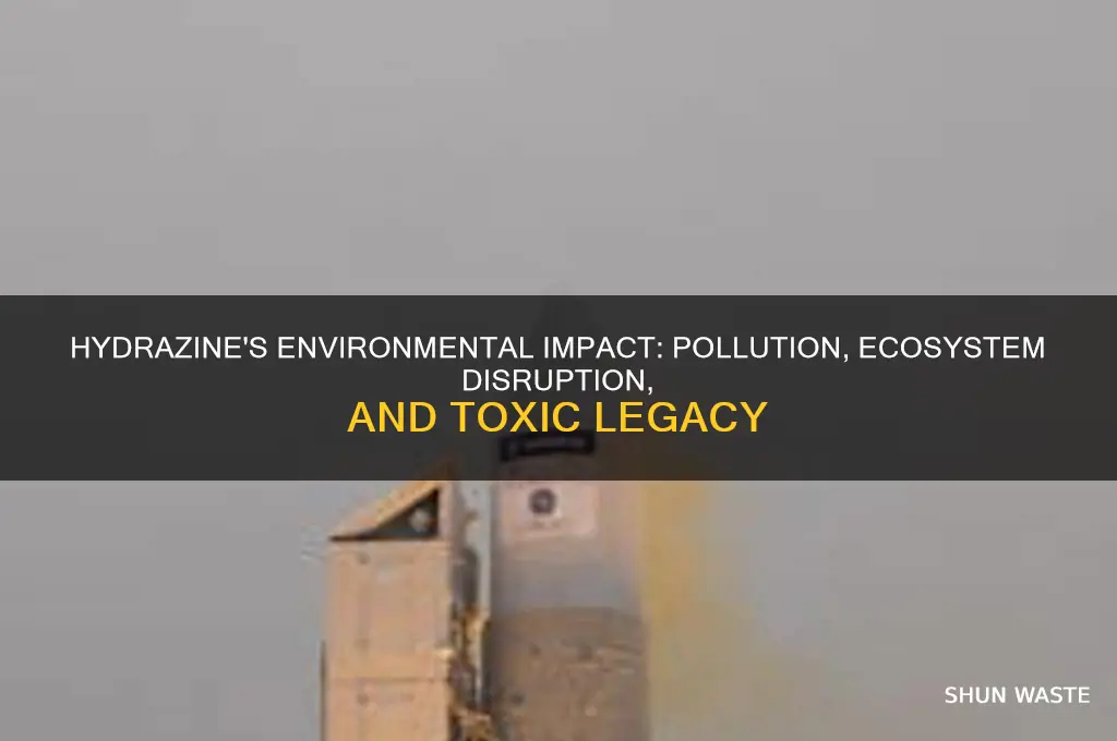 Hydrazine's Environmental Impact: Pollution, Ecosystem Disruption, And ...