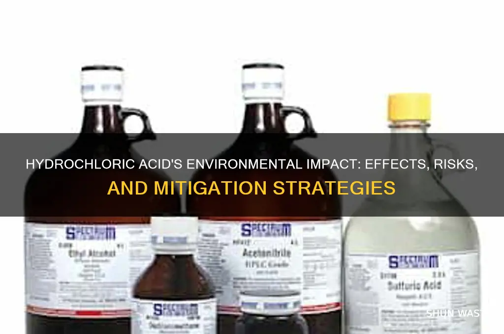 Hydrochloric Acid's Environmental Impact: Effects, Risks, And ...