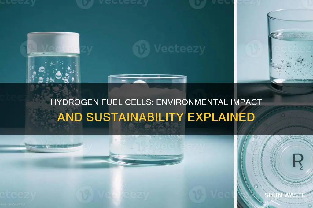 Hydrogen Fuel Cells: Environmental Impact And Sustainability Explained ...