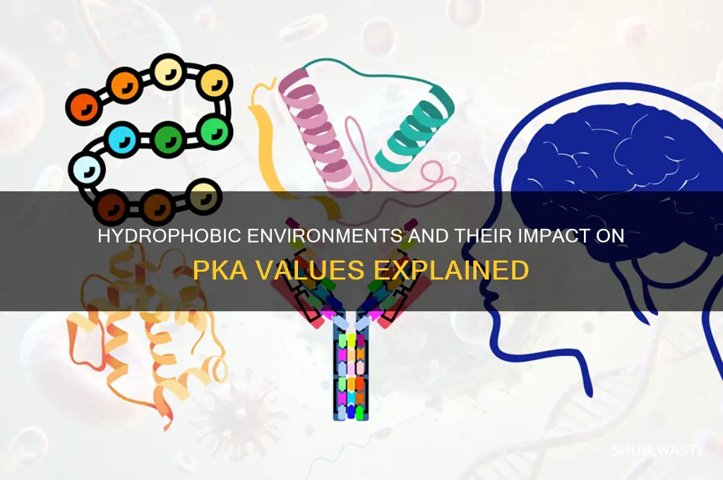Hydrophobic Environments And Their Impact On Pka Values Explained ...