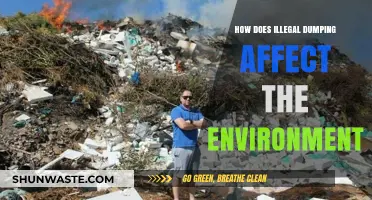Environmental Consequences Of Poor Waste Disposal: A Growing Crisis ...
