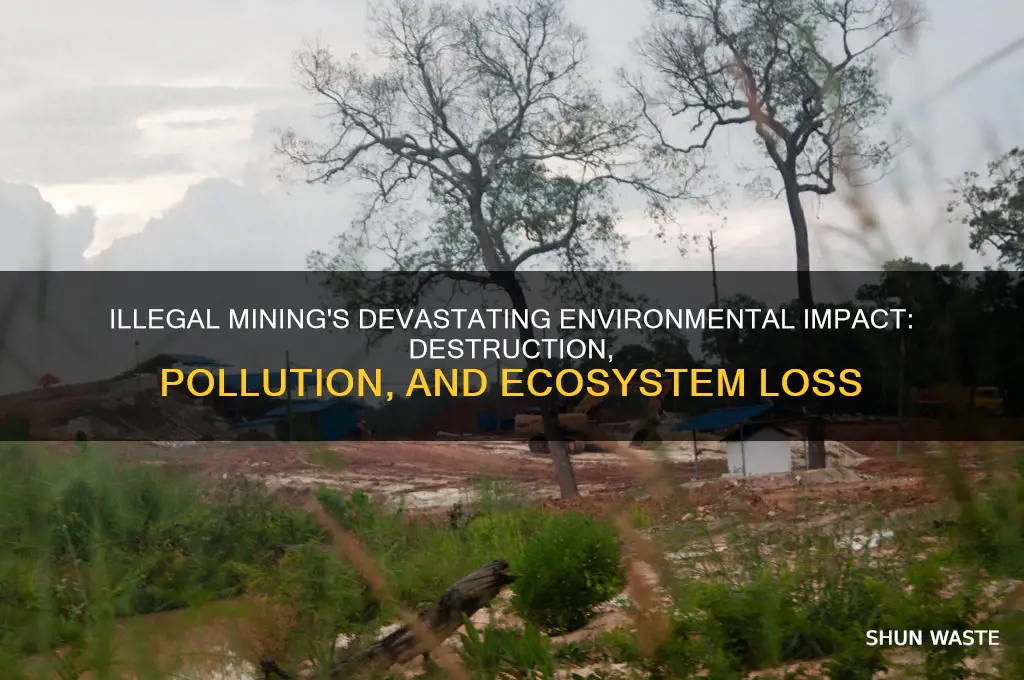 Illegal Mining's Devastating Environmental Impact: Destruction ...