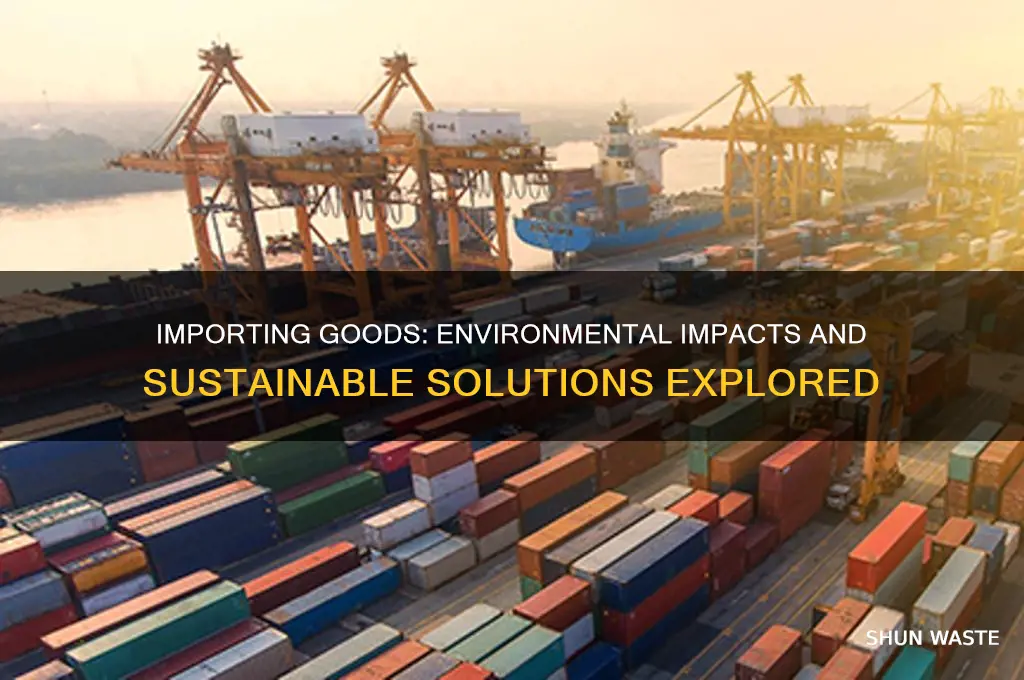 Importing Goods: Environmental Impacts And Sustainable Solutions ...