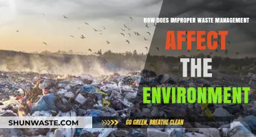 Ikea's Environmental Impact: Sustainable Practices Or Ecological ...