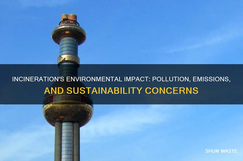 Incineration's Environmental Impact: Pollution, Emissions, And ...