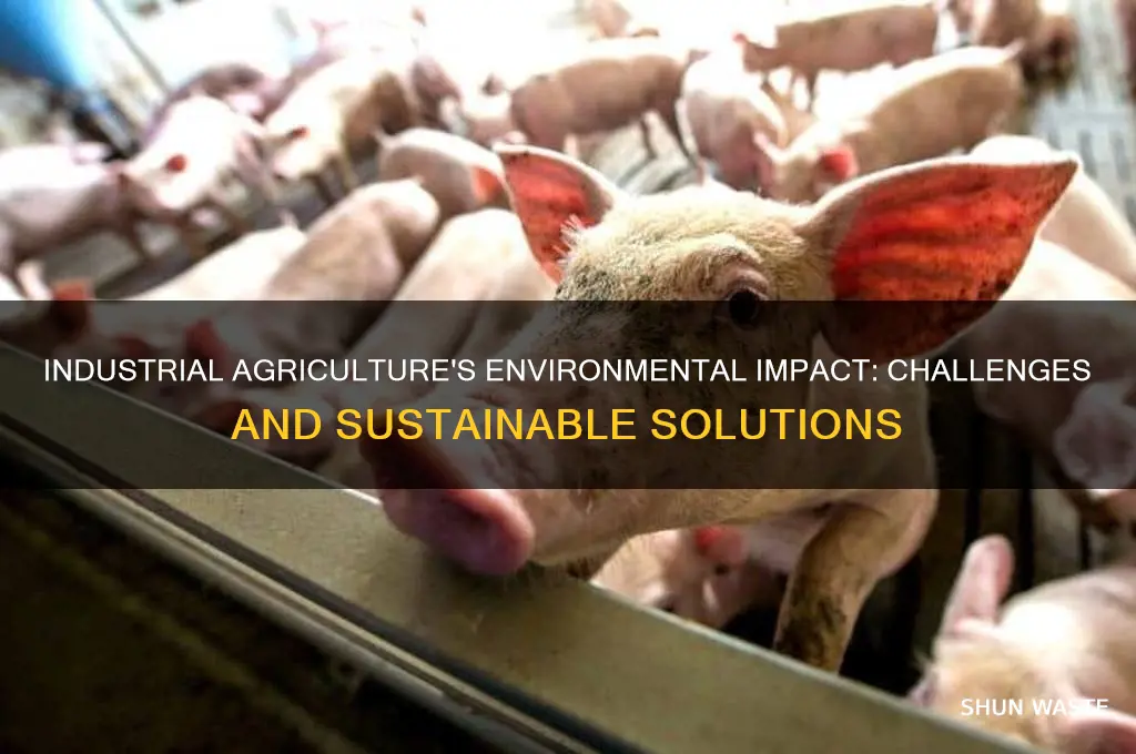 Industrial Agriculture's Environmental Impact: Challenges And ...