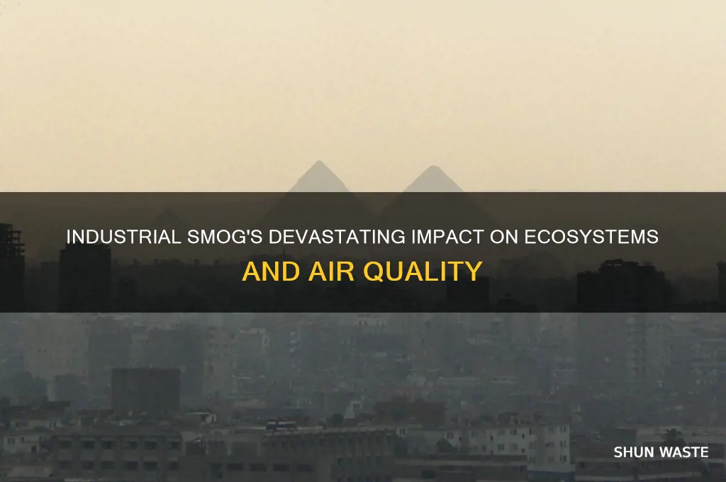 Industrial Smog's Devastating Impact On Ecosystems And Air Quality ...