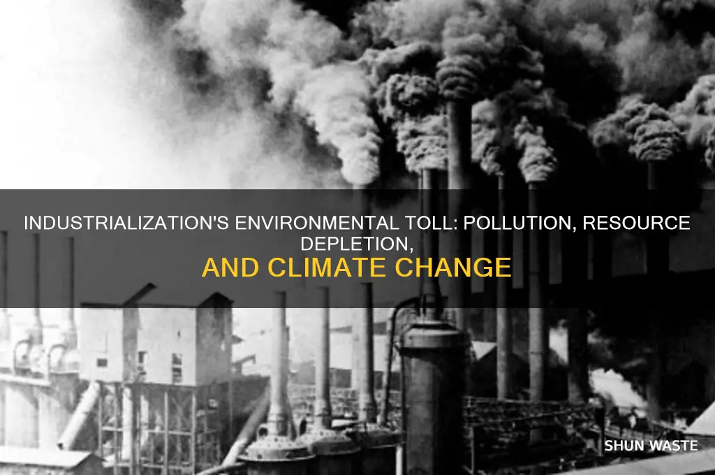 Industrialization's Environmental Toll: Pollution, Resource Depletion ...