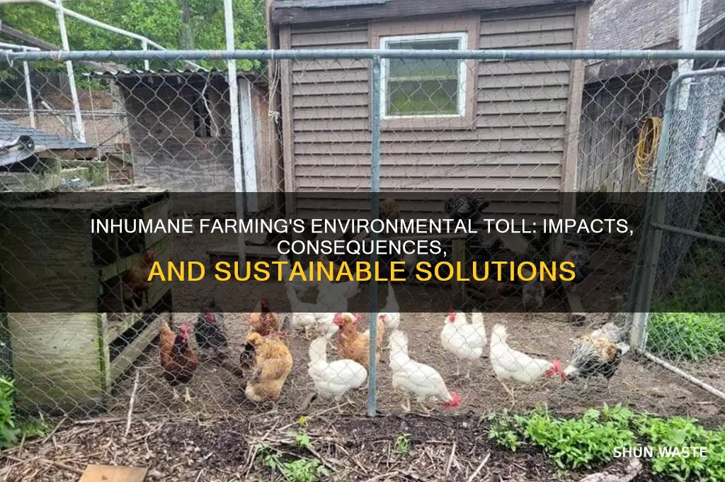Inhumane Farming's Environmental Toll: Impacts, Consequences, And ...
