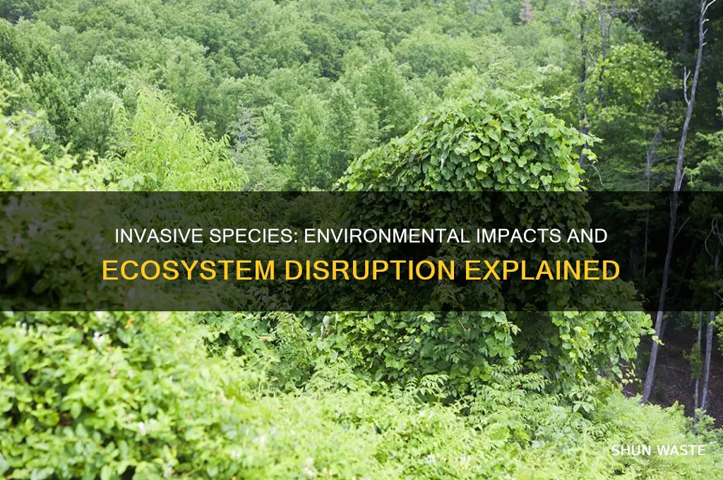 Invasive Species: Environmental Impacts And Ecosystem Disruption ...