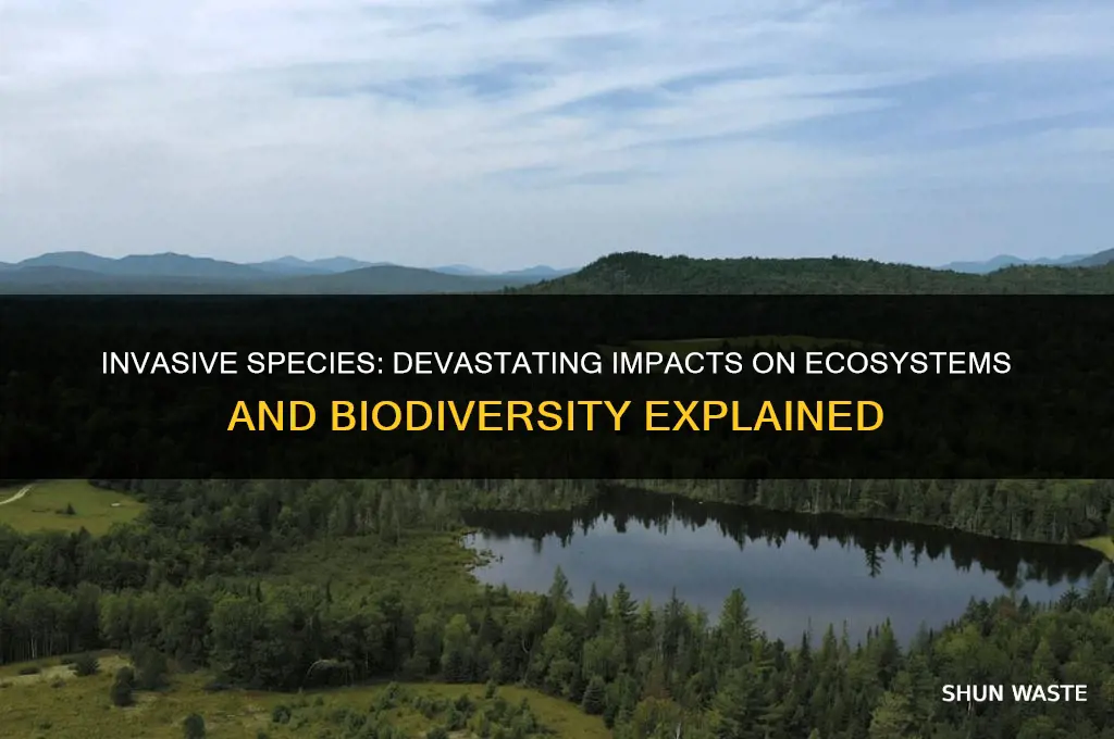Invasive Species: Devastating Impacts On Ecosystems And Biodiversity ...