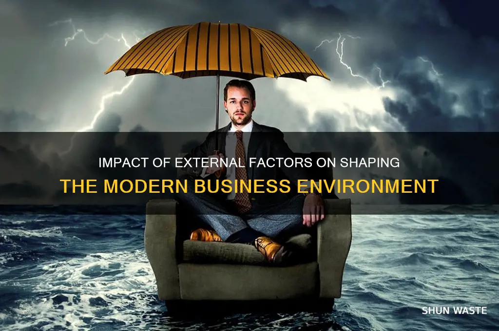 Impact Of External Factors On Shaping The Modern Business Environment ...