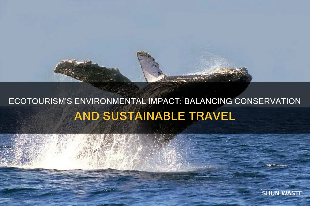 Ecotourism's Environmental Impact: Balancing Conservation And ...