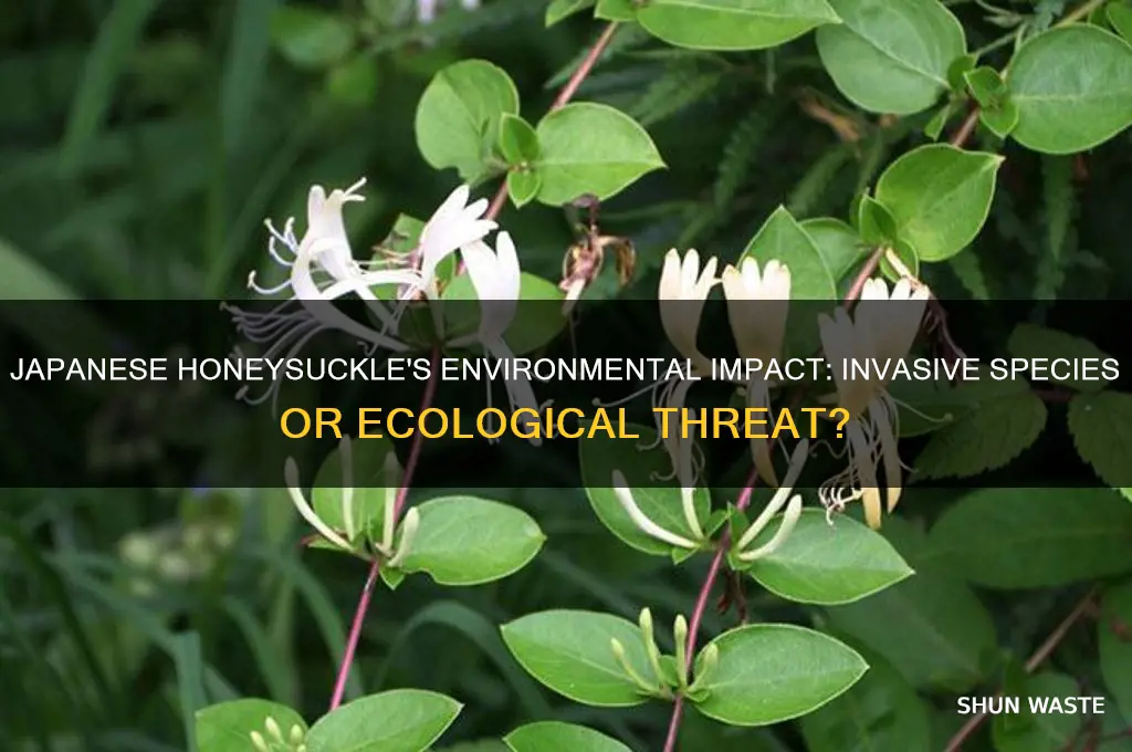 Japanese Honeysuckle's Environmental Impact: Invasive Species Or ...