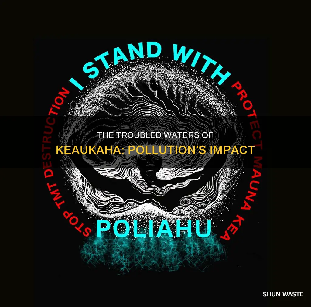 The Troubled Waters Of Keaukaha: Pollution's Impact | ShunWaste