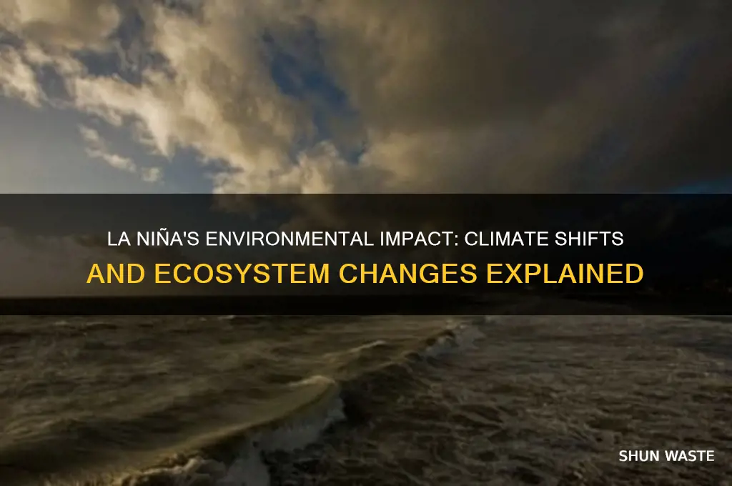 La Niña's Environmental Impact: Climate Shifts And Ecosystem Changes ...