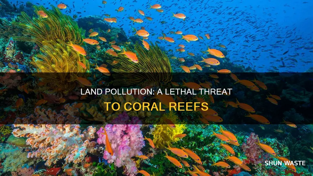 Land Pollution: A Lethal Threat To Coral Reefs | ShunWaste