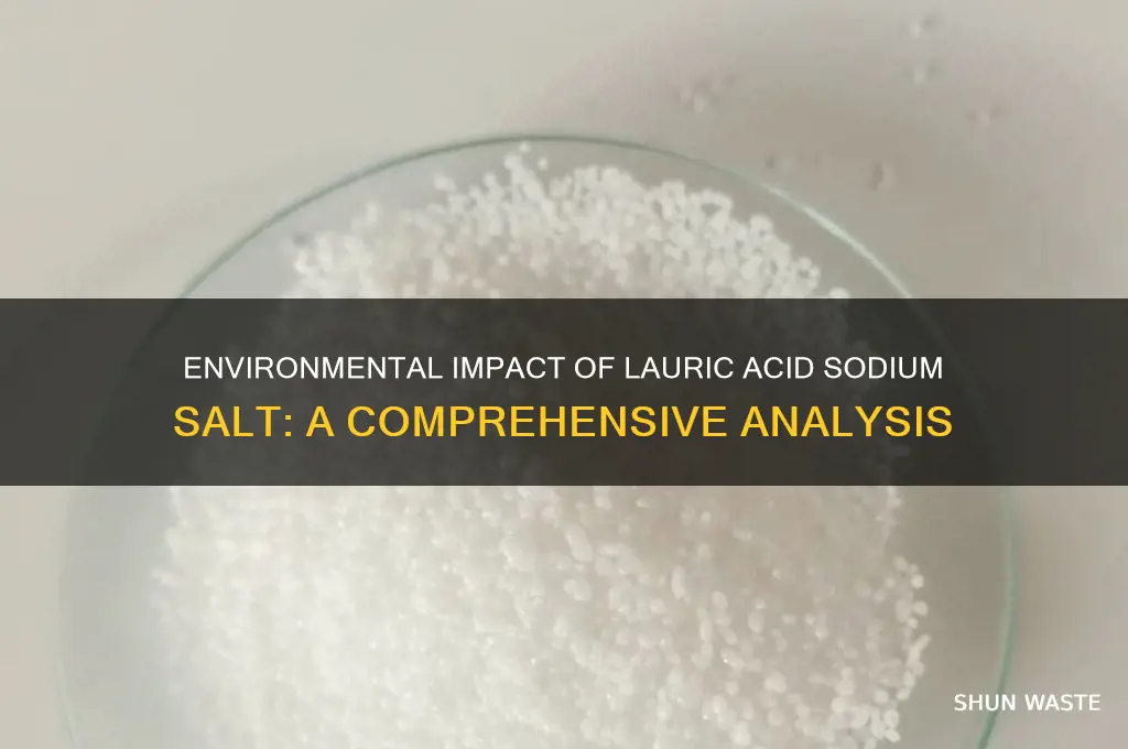 Environmental Impact Of Lauric Acid Sodium Salt: A Comprehensive ...