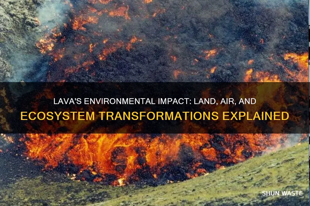 Lava's Environmental Impact: Land, Air, And Ecosystem Transformations ...