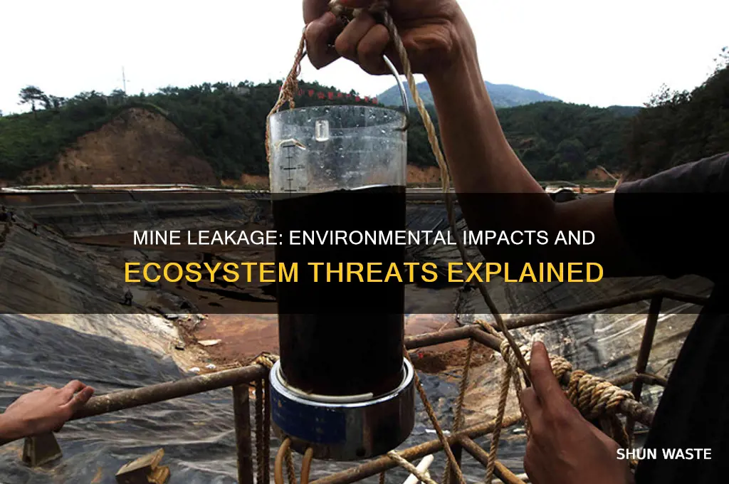Mine Leakage: Environmental Impacts And Ecosystem Threats Explained ...