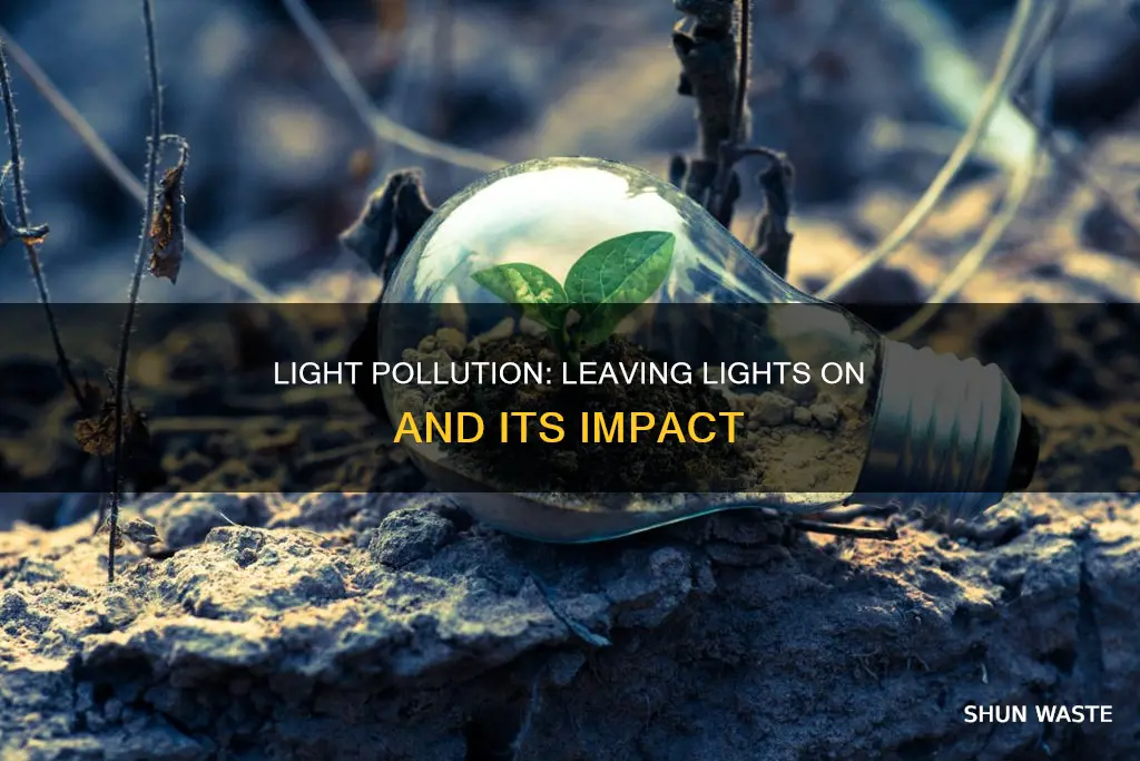 Light Pollution: Leaving Lights On And Its Impact | ShunWaste