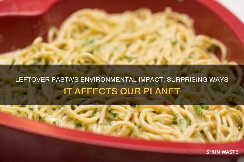 Leftover Pasta's Environmental Impact: Surprising Ways It Affects Our ...