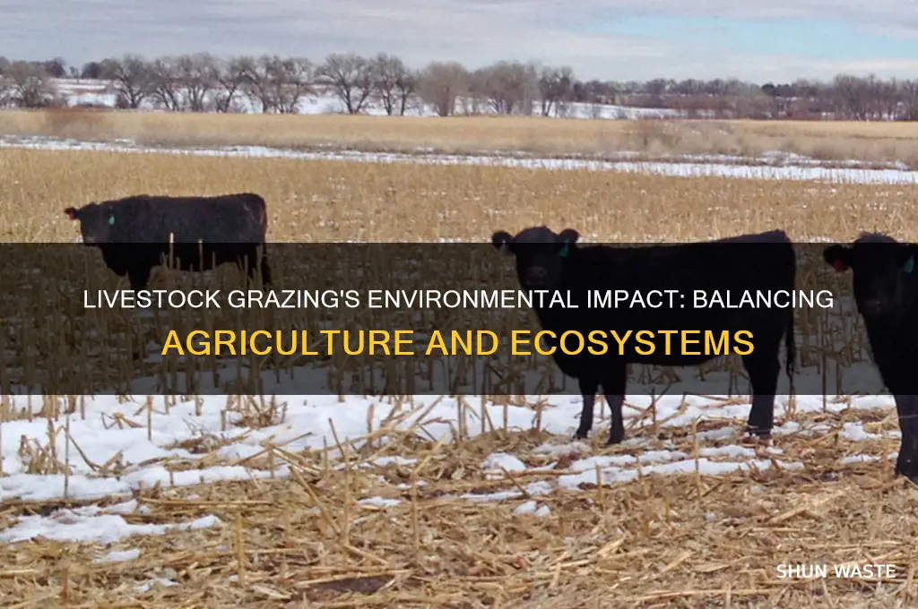 Livestock Grazing's Environmental Impact: Balancing Agriculture And ...