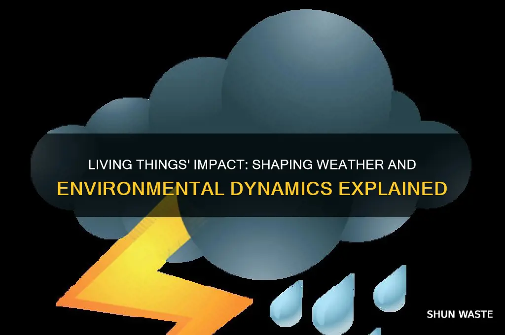 Living Things' Impact: Shaping Weather And Environmental Dynamics ...