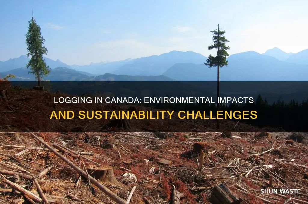 Logging In Canada: Environmental Impacts And Sustainability Challenges ...