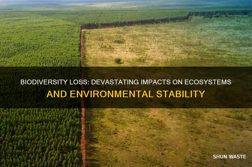 Biodiversity Loss: Devastating Impacts On Ecosystems And Environmental ...