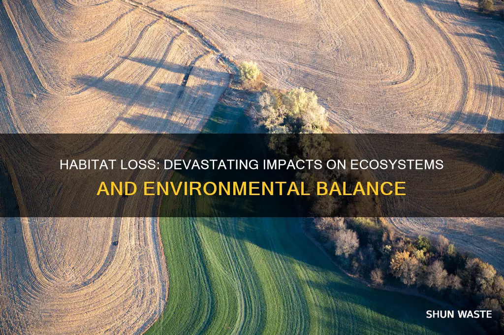 Habitat Loss: Devastating Impacts On Ecosystems And Environmental ...