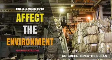 Car Manufacturing's Environmental Impact: Emissions, Resources, And ...