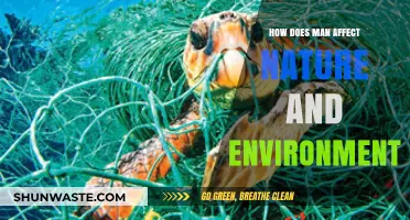 Paper Production's Environmental Impact: Sustainability Challenges And ...