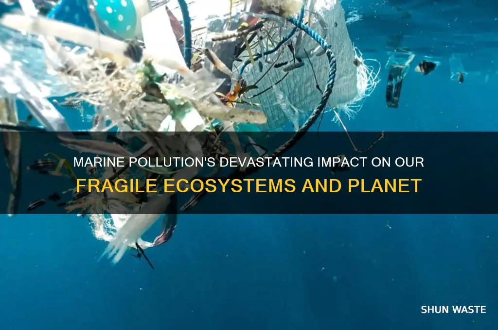 Marine Pollution's Devastating Impact On Our Fragile Ecosystems And ...