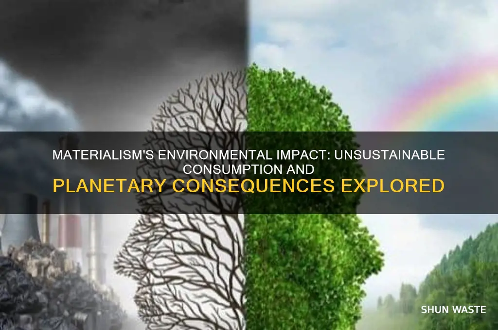 Materialism's Environmental Impact: Unsustainable Consumption And ...