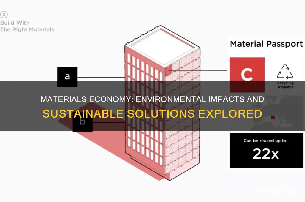 Materials Economy: Environmental Impacts And Sustainable Solutions ...