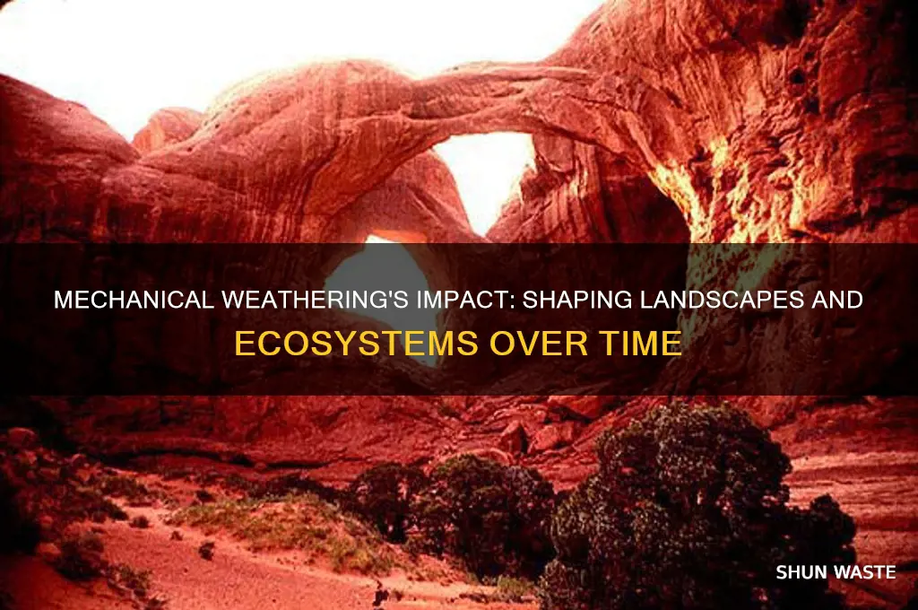 Mechanical Weathering's Impact: Shaping Landscapes And Ecosystems Over ...