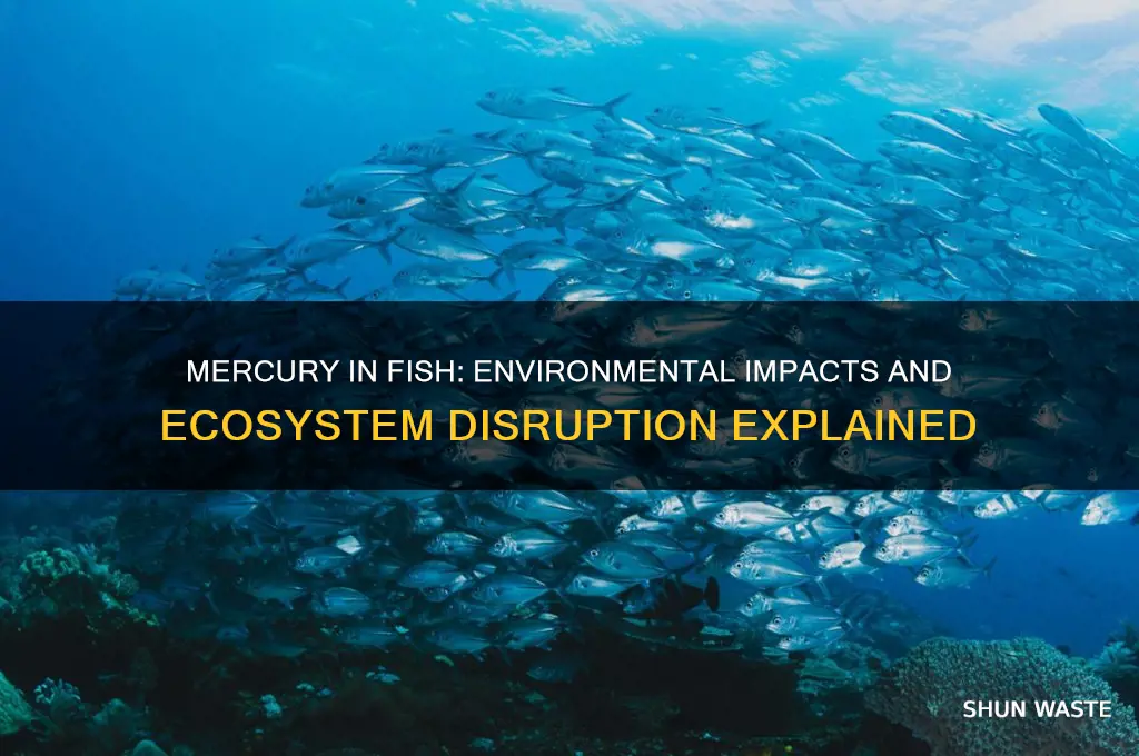 Mercury In Fish: Environmental Impacts And Ecosystem Disruption ...