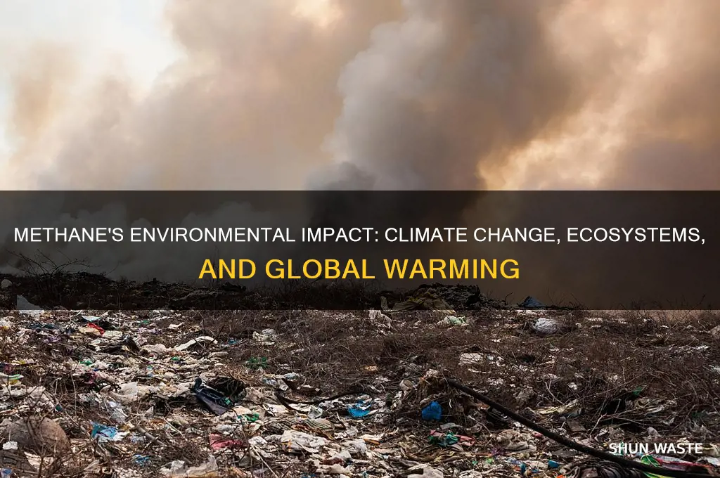 Methane's Environmental Impact: Climate Change, Ecosystems, And Global ...