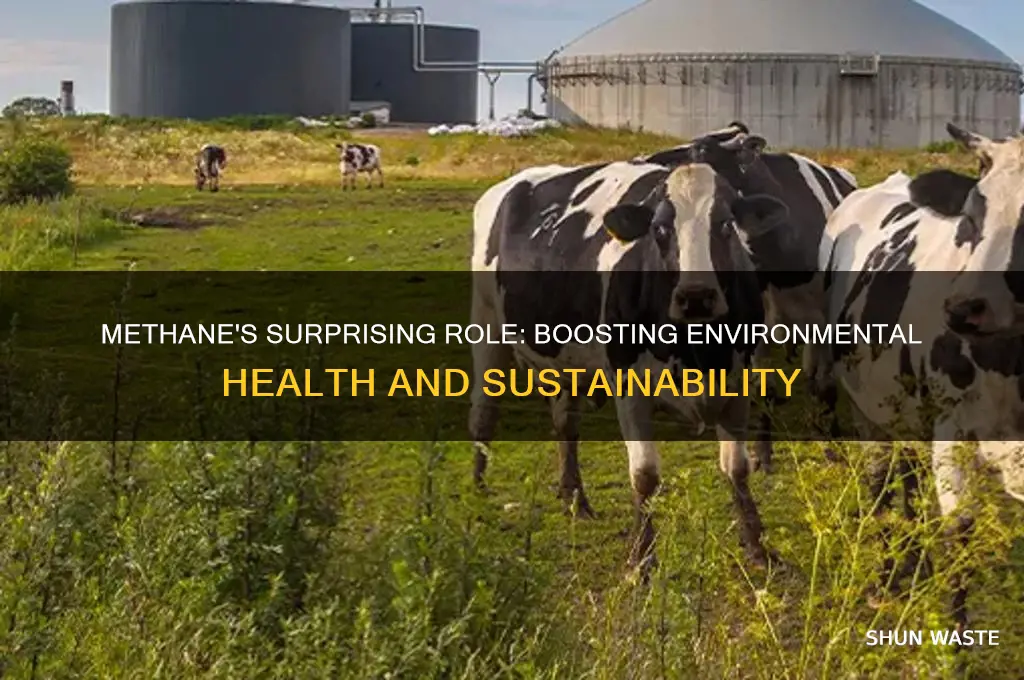 Methane's Surprising Role: Boosting Environmental Health And ...