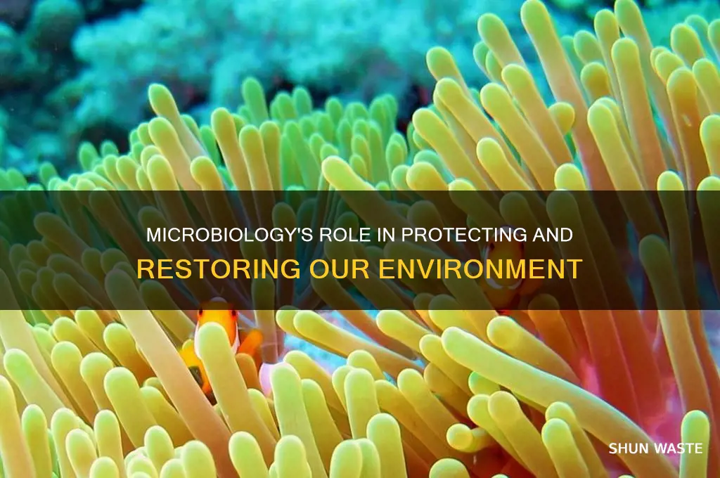 Microbiology's Role In Protecting And Restoring Our Environment | ShunWaste
