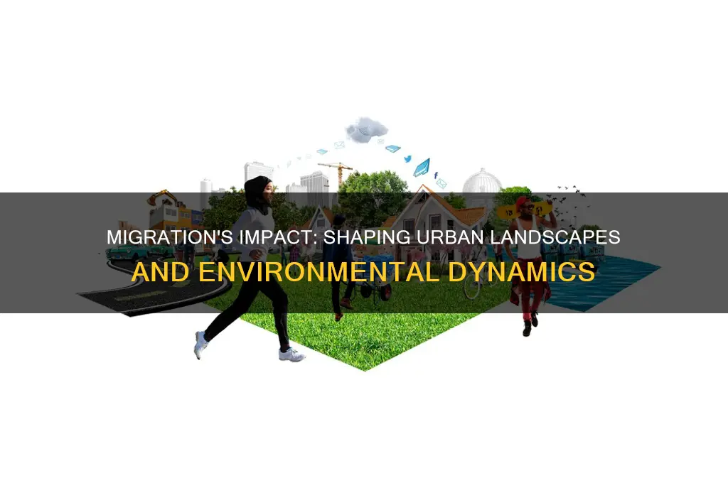 Migration's Impact: Shaping Urban Landscapes And Environmental Dynamics ...