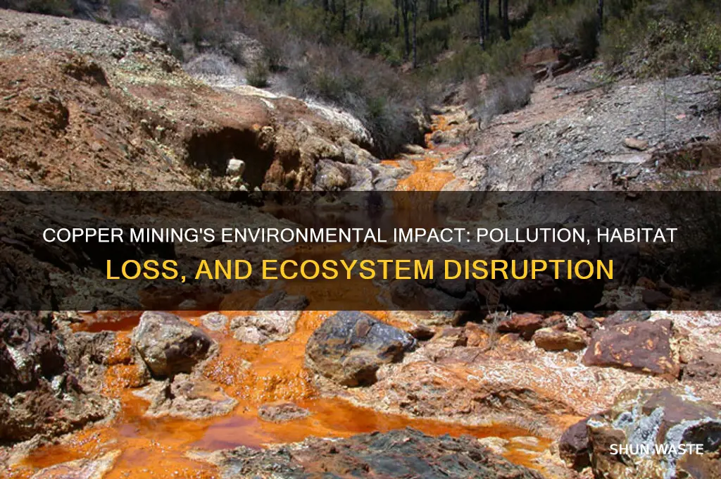 Copper Mining's Environmental Impact: Pollution, Habitat Loss, And ...