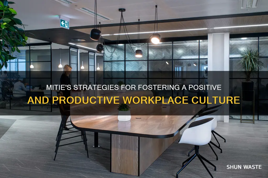 Mitie's Strategies For Fostering A Positive And Productive Workplace ...