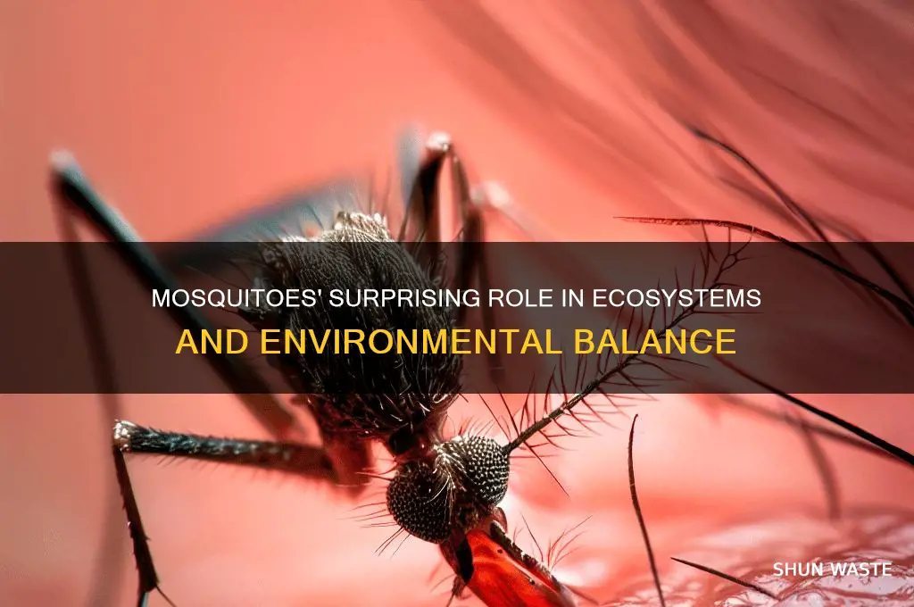 Mosquitoes' Surprising Role In Ecosystems And Environmental Balance ...
