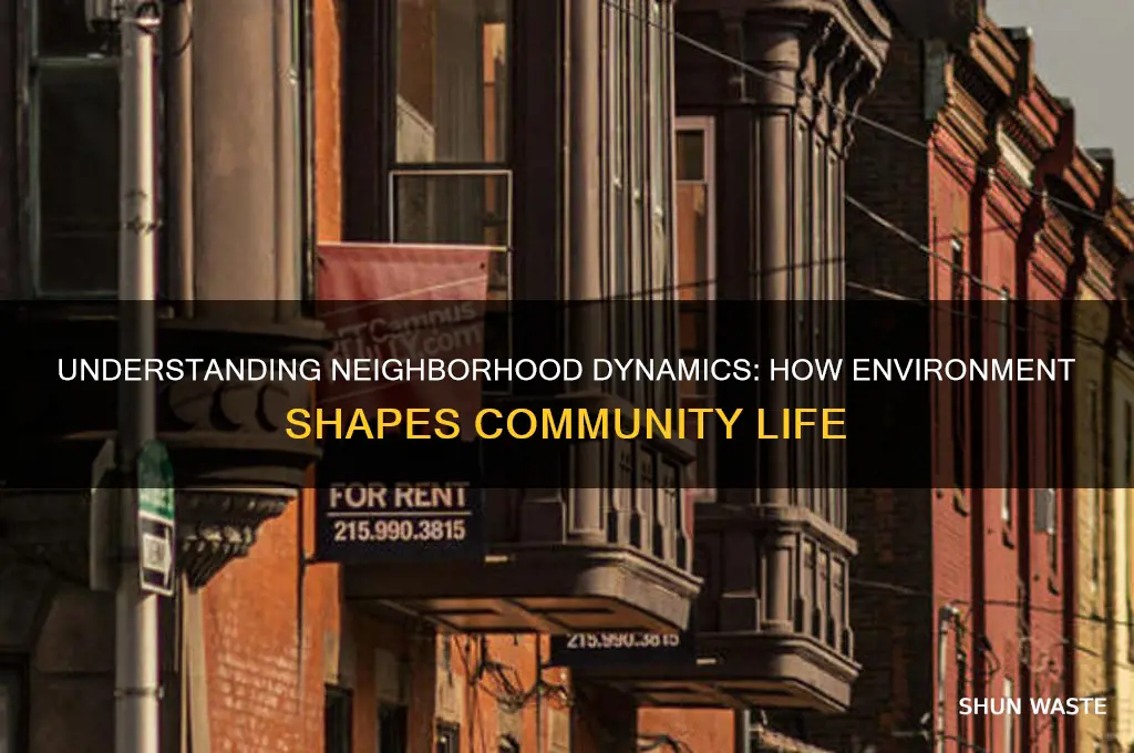 Understanding Neighborhood Dynamics: How Environment Shapes Community ...