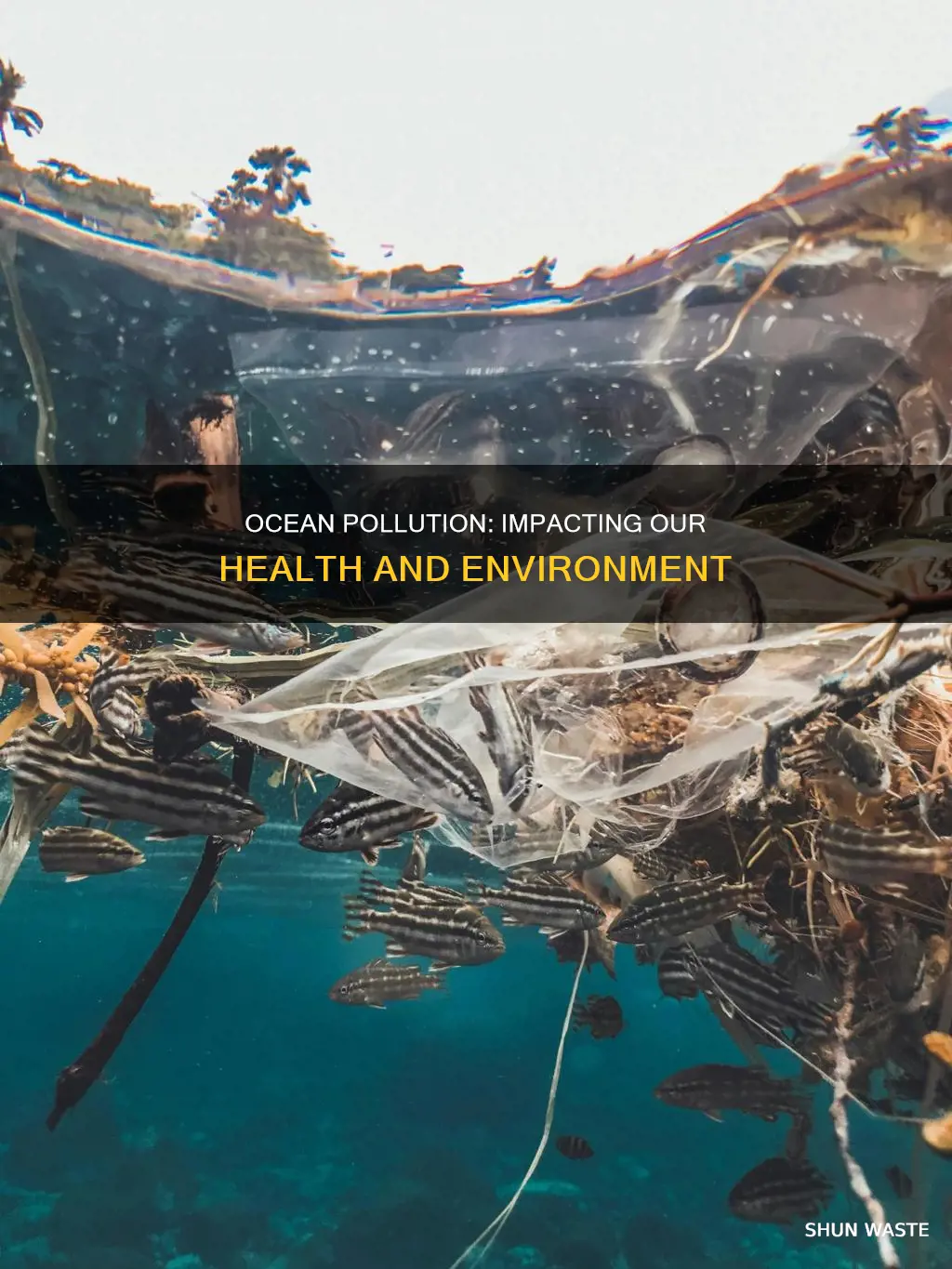 Ocean Pollution: Impacting Our Health And Environment | ShunWaste