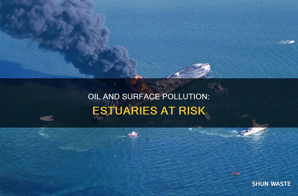 Oil And Surface Pollution: Estuaries At Risk | ShunWaste