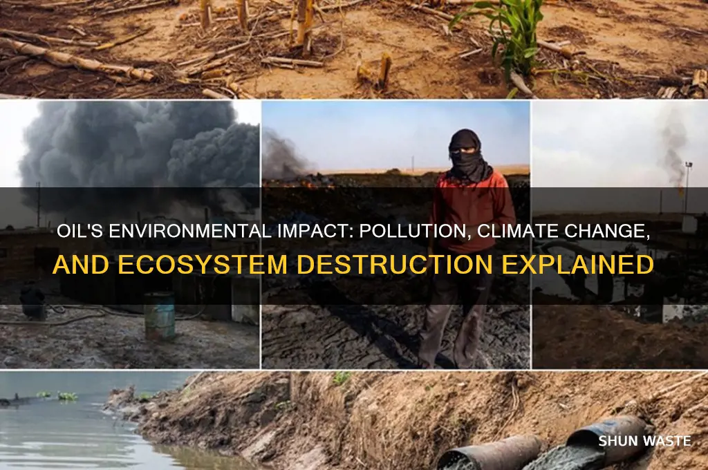 Oil's Environmental Impact: Pollution, Climate Change, And Ecosystem ...