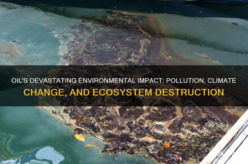 Oil's Devastating Environmental Impact: Pollution, Climate Change, And ...
